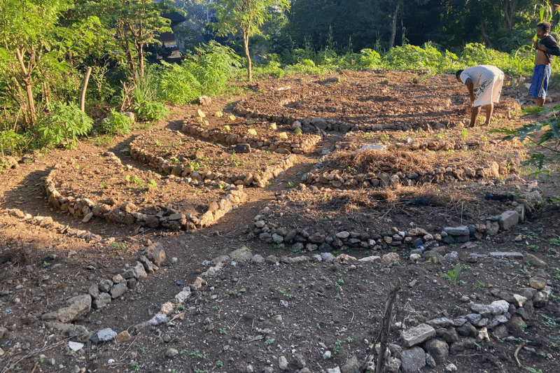Bukit Farm Project - Natural Food Products
